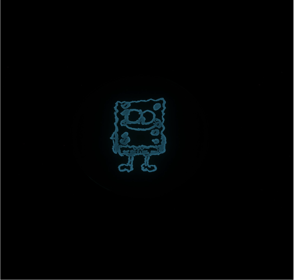 Pacific Bacterial Genomics June 17th: Second Full Day at the Lab! …with ...