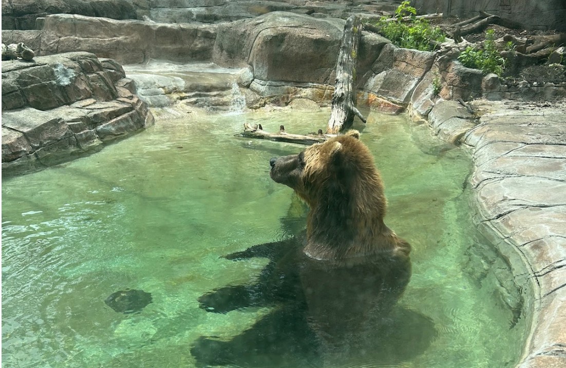 Purdue Biochem I Day 10 — Anna Y. 🌷🌱 - SSP International