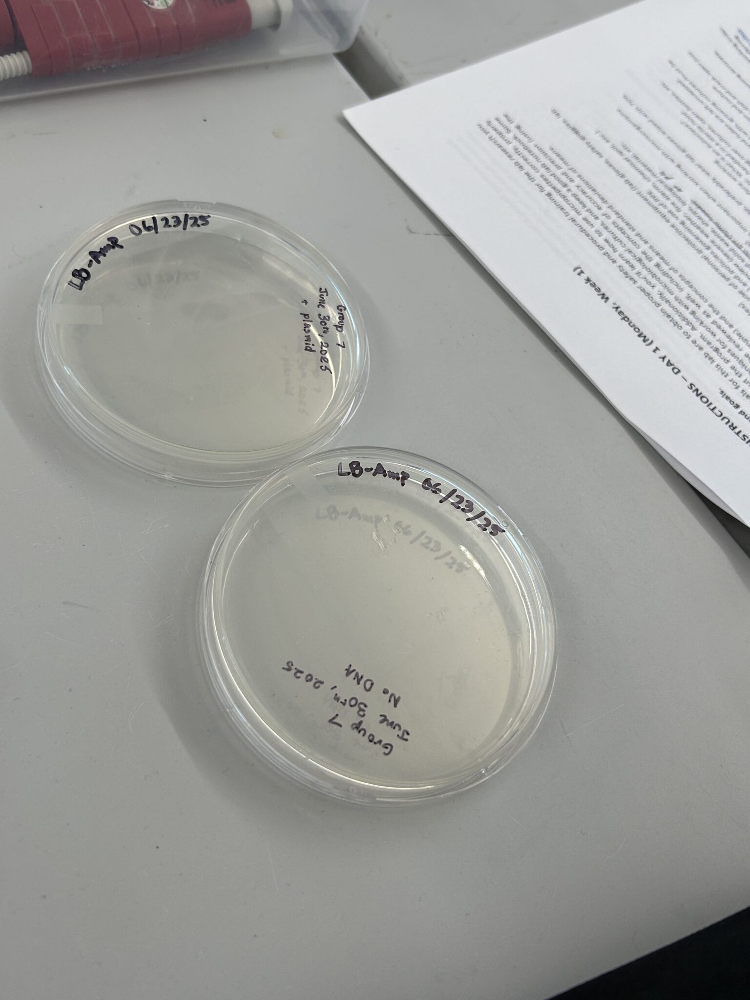 Purdue Biochem II Day 1 - Brianna - SSP International